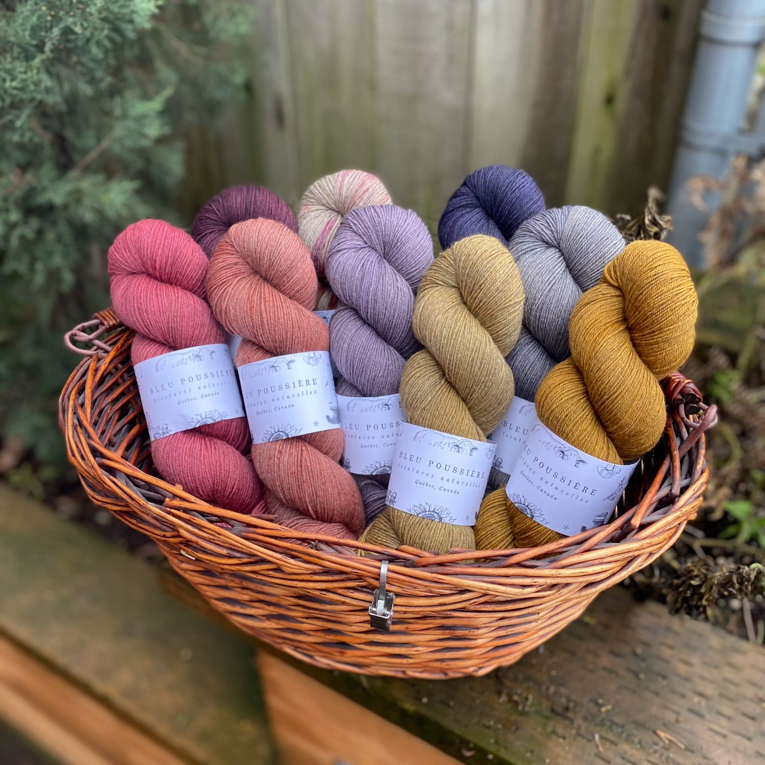 Rose City Yarn Crawl – Starlight Knitting Society